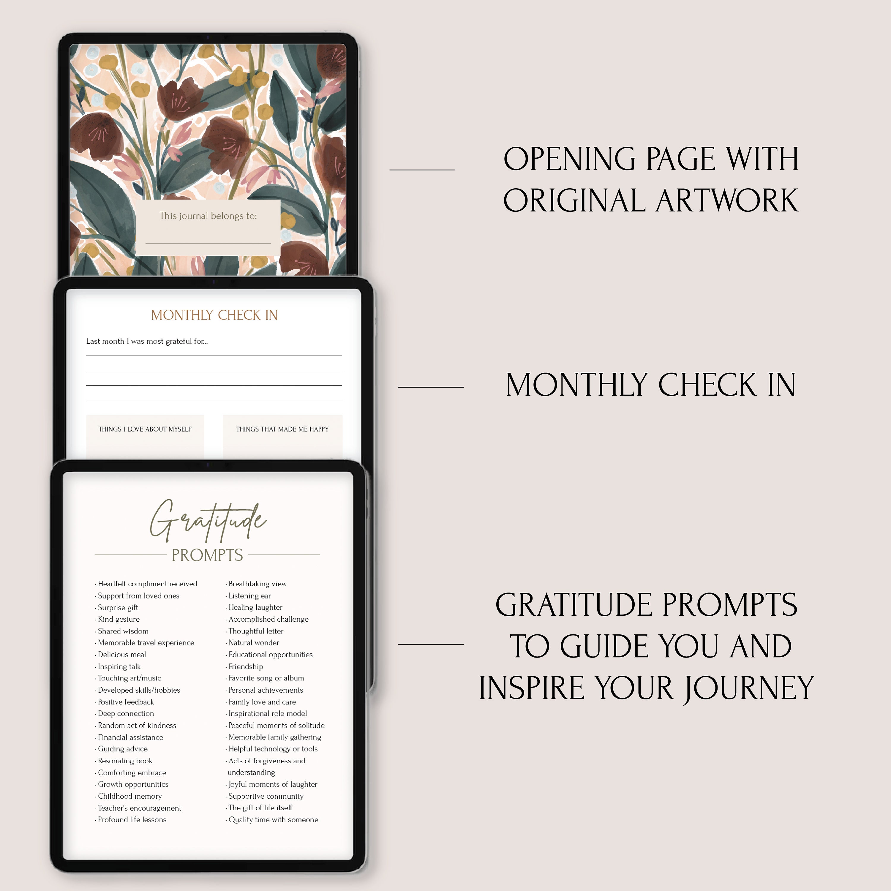 Digital Gratitude Journal, 417 Daily Gratitude Pages, Daily Reflection ...