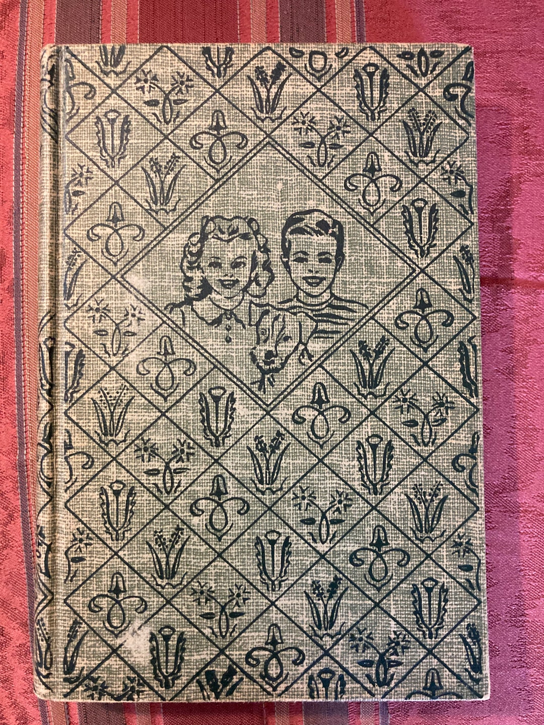 The Bobbsey Twins by Laura Lee Hope Vintage Hardcover - Etsy