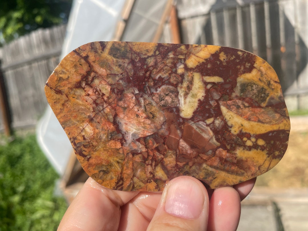 Incredible Colorful Brecciated Jasper Slab From the - Etsy