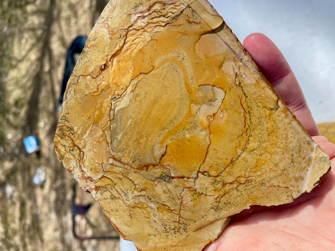 Large OWYHEE PICTURE JASPER Slab From Eastern Oregon - Etsy