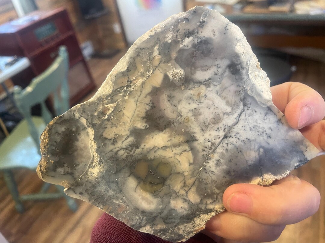 Gorgeous Snake River Dendritic Agate #1, #2, #3, #4 - Etsy