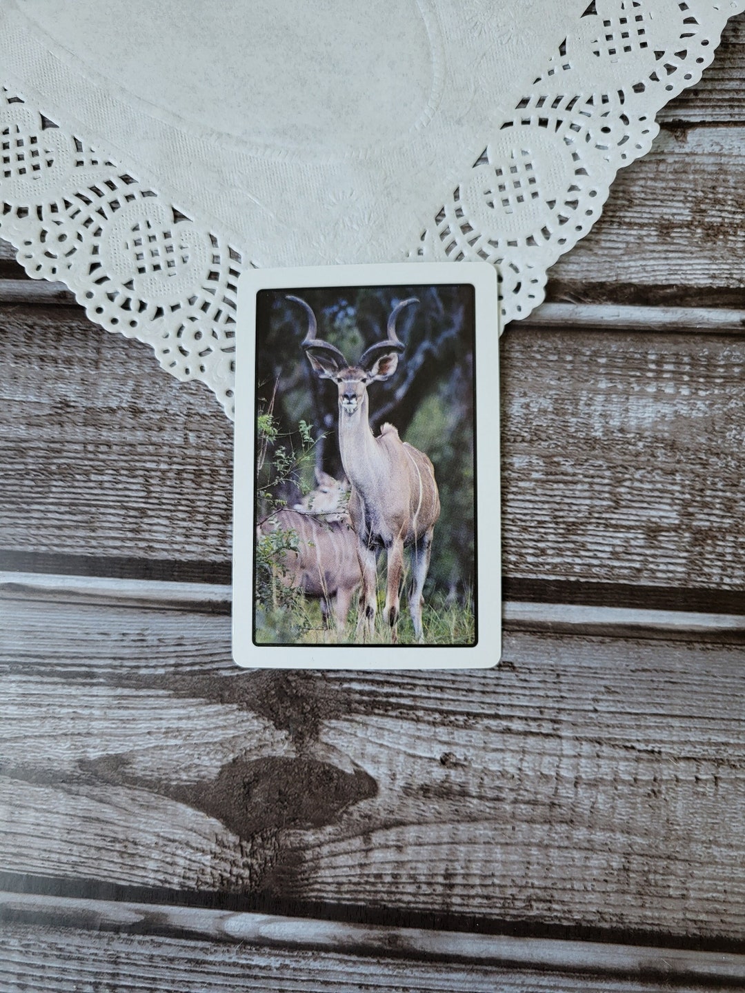 Deer Playing Cards, Junk Journal Essentials, Pen Pal Supplies ...