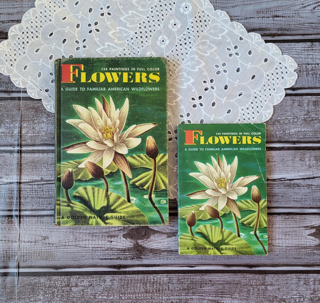 Vintage Book, Flowers Golden Nature Guide, Nature Journal, Nature ...