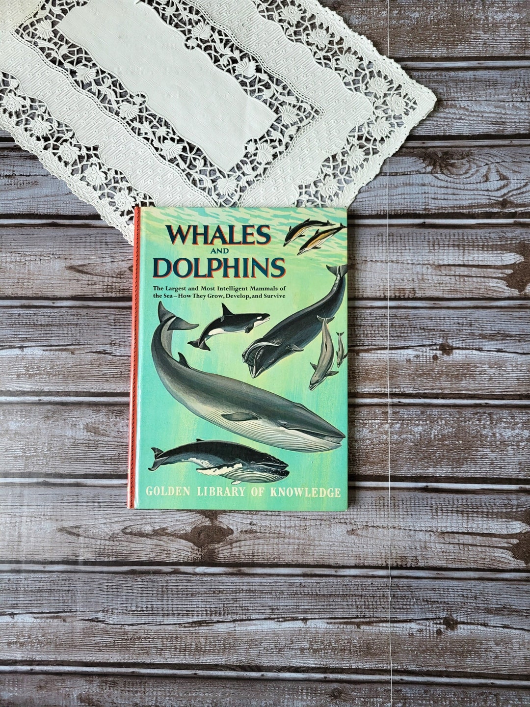 Vintage Childrens Book, Whales and Dolphins, Junk Journal Supplies ...