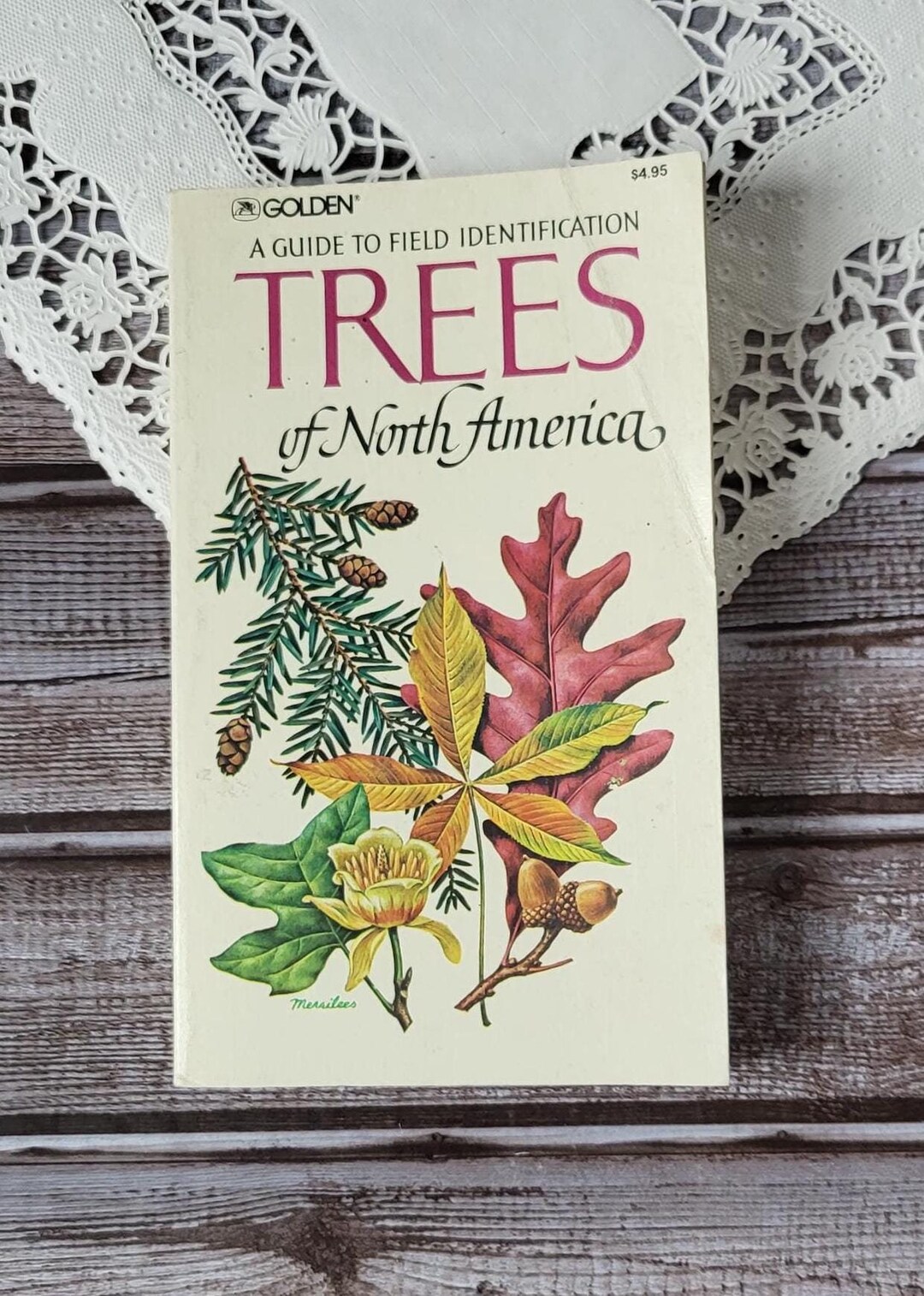 A Guide to Field Identification Trees of North America, 1979, Junk ...