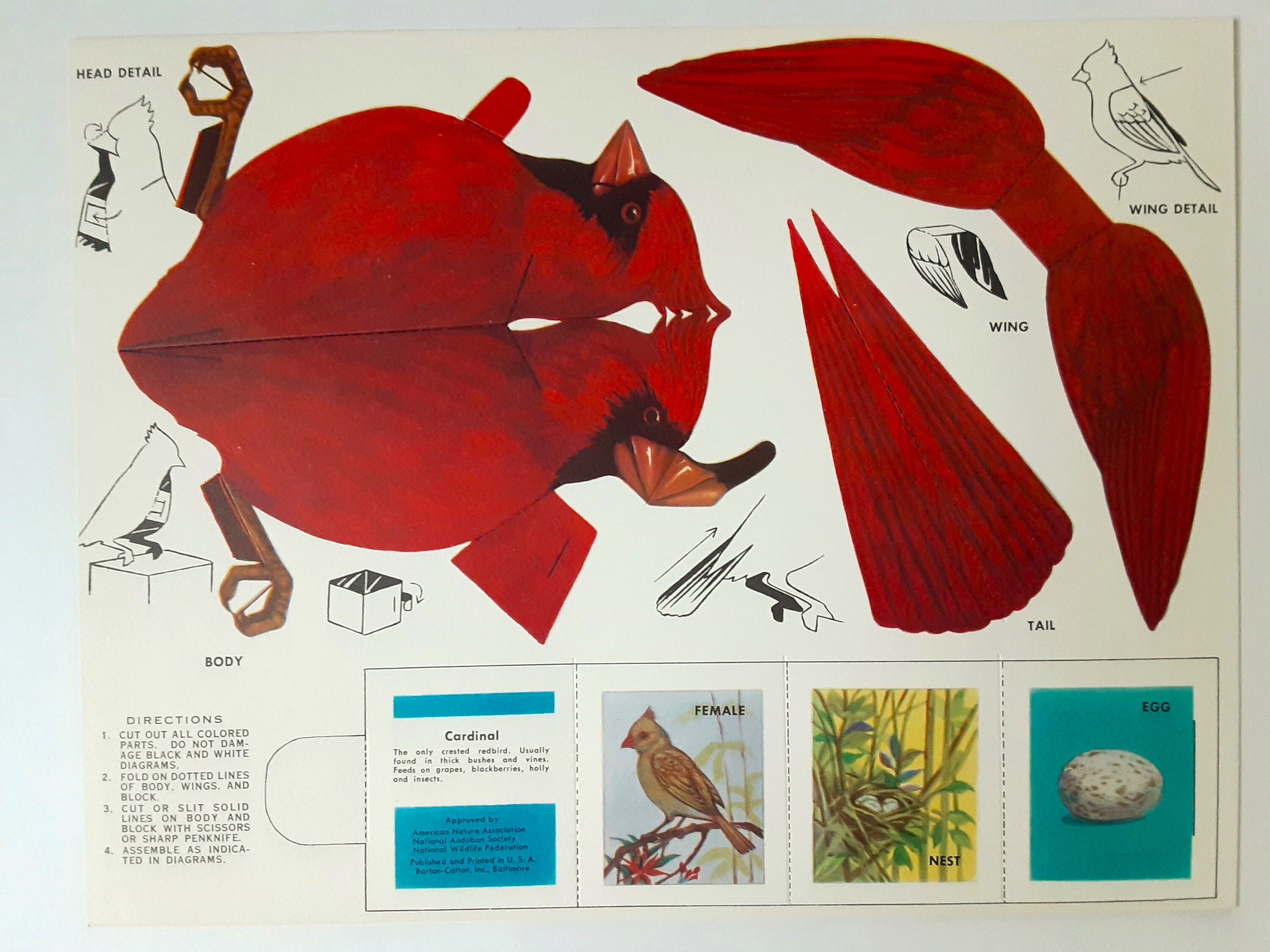 Vintage Bird Art 3-D Bird Cut Outs Build A Bird Bird Lover - Etsy