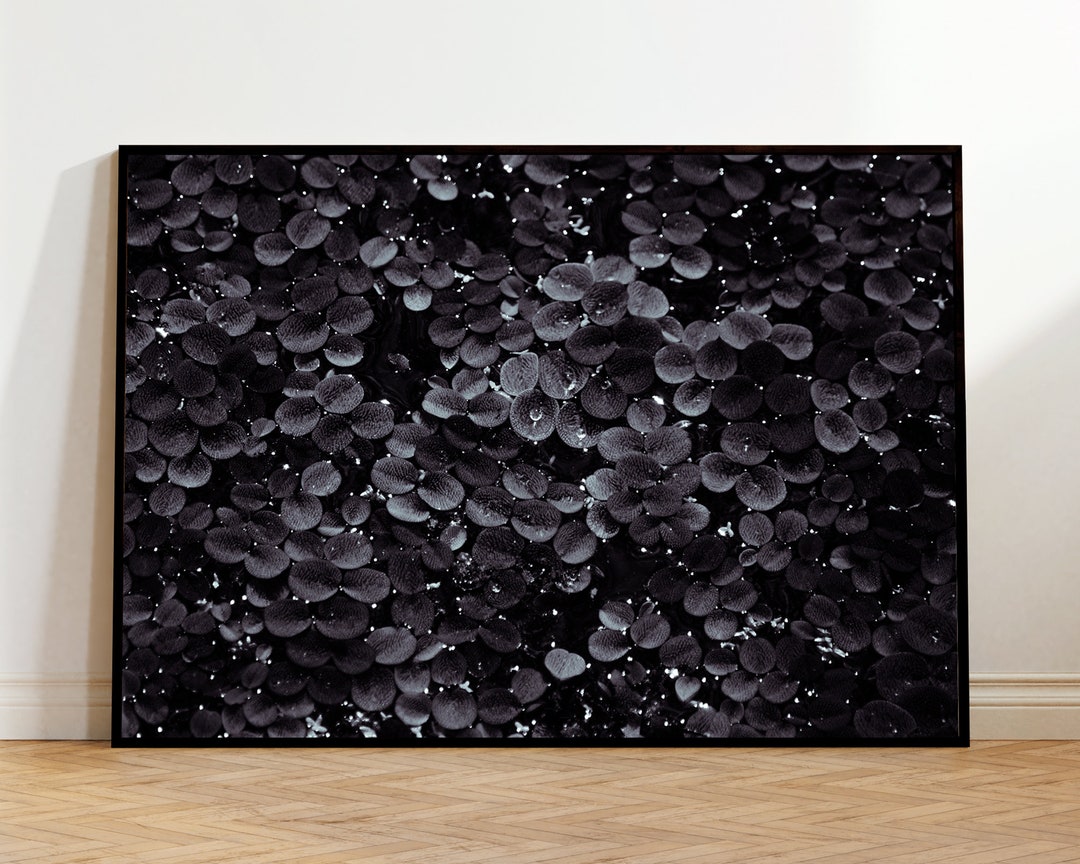 Black Botanical Print, Abstract Black and White Photography Print, Dark ...