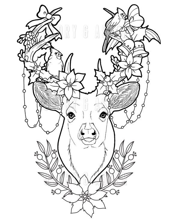 Deer Coloring Page Sheets Deer Coloring Page Sheets