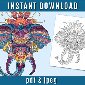 Elephant Zentangle Coloring Page Printable Adult Coloring Pages Instant ...