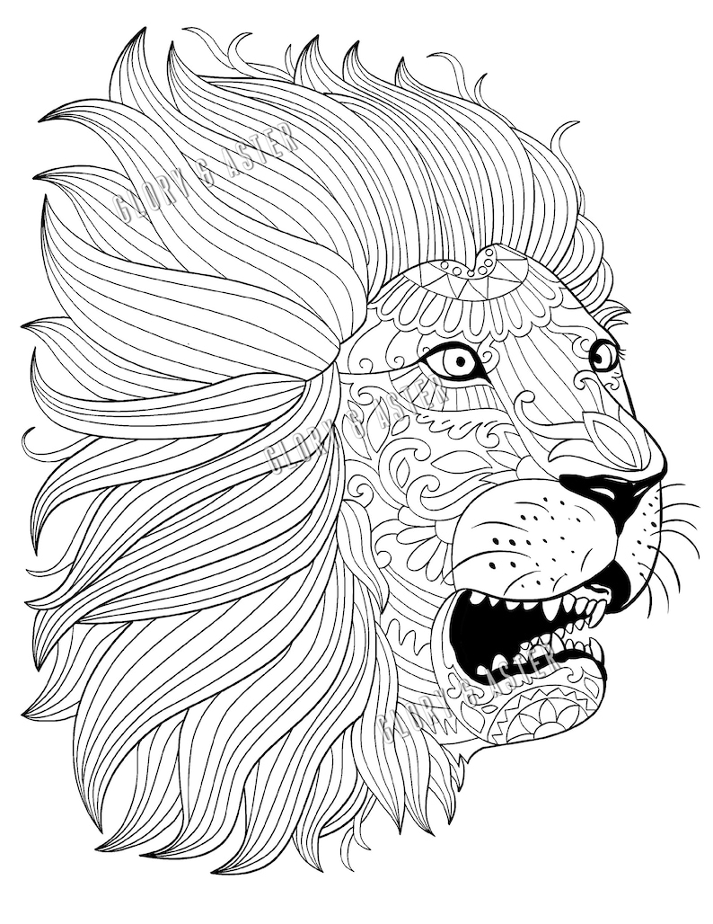 Zentangle Lion Coloring Page Printable Adult Coloring Page Lion ...