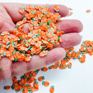 Carrot Vegetable Easter Bunny Slime Polymer Clay Slice for Snowglobe ...