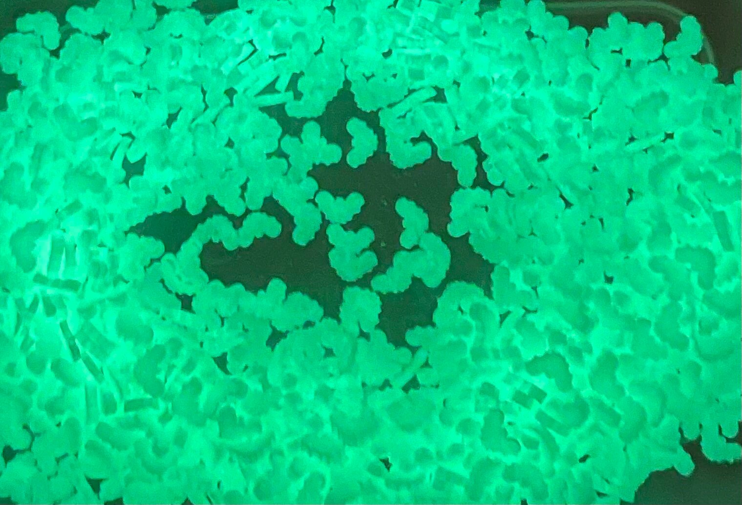 Glow in the Dark Bats Halloween Sprinkle Slime Polymer Clay | Etsy