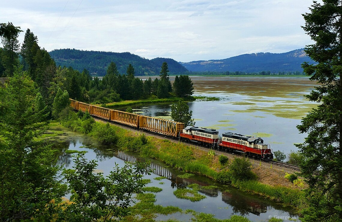 St. Maries River in Idaho by George Li - Etsy