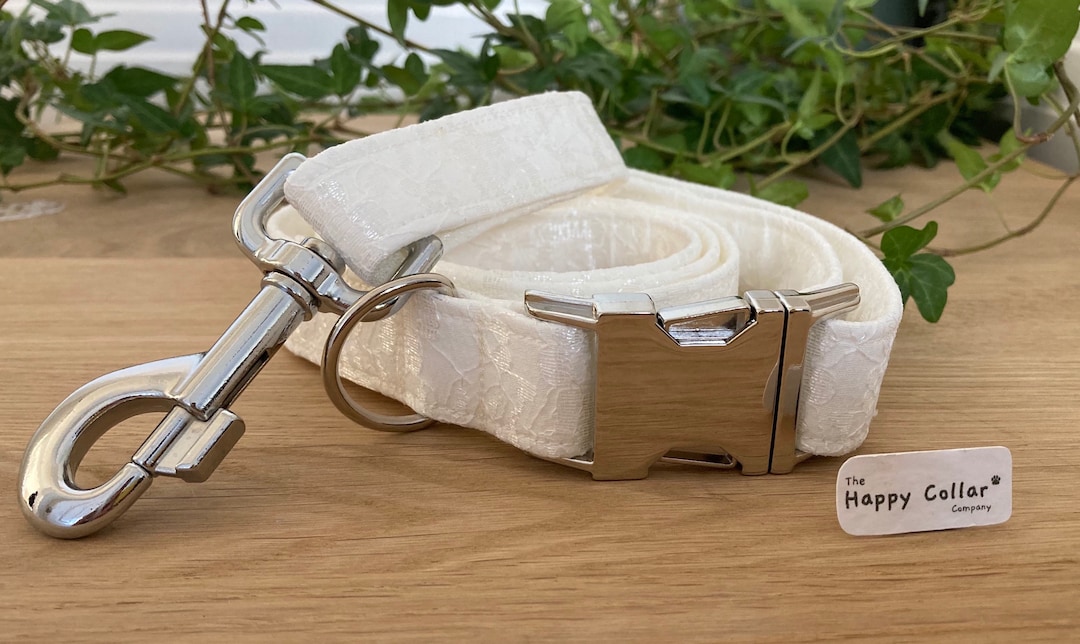 Ivory Lace Wedding Dog Collar – Elegant Bridal Pet Collar, Strong ...