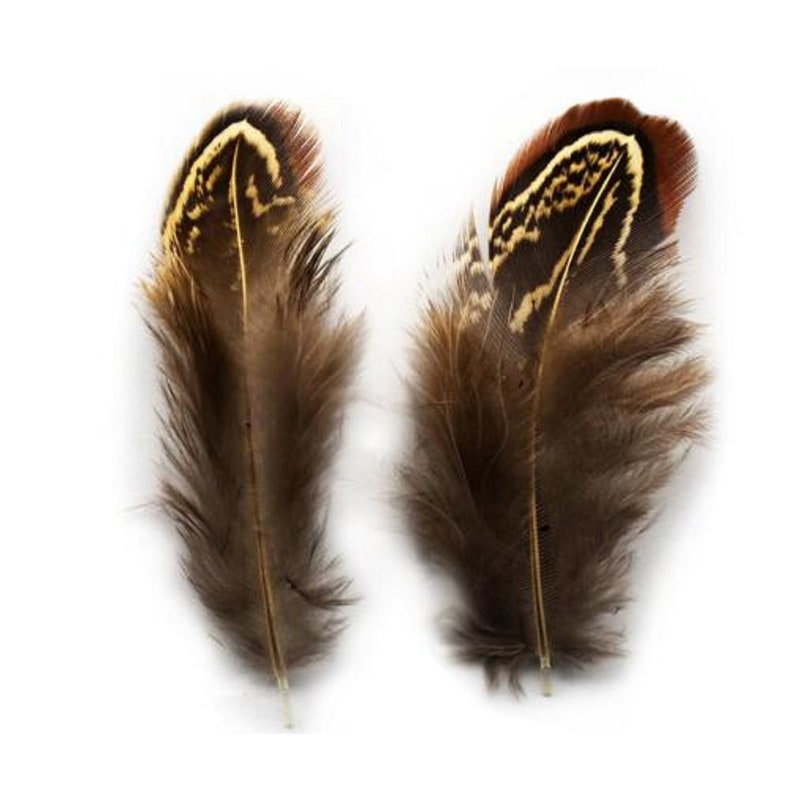 Colourful Guinea Fowl Wing Feathers 4cm 8cm Chicken Fly - Etsy