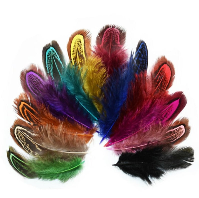 Colourful Guinea Fowl Wing Feathers 4cm - 8cm Chicken Fly Craft Hat ...