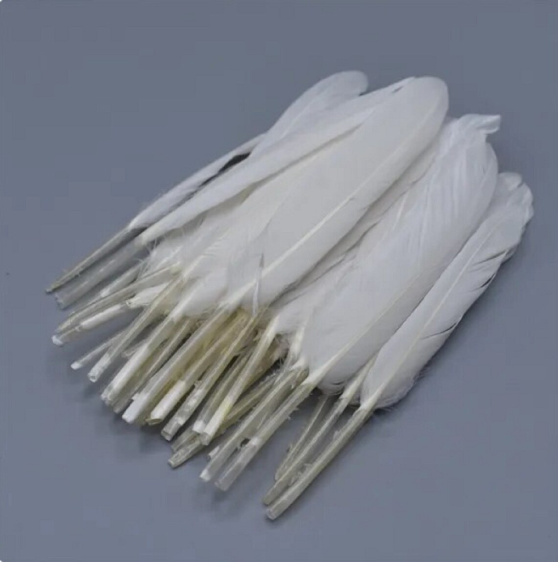 White Goose Feathers Arts Crafts Hat Costume Wedding Colour 4''-8'' UK ...