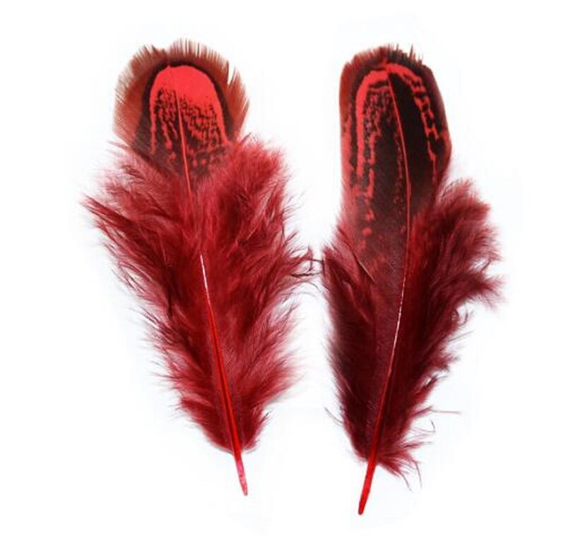 Colourful Guinea Fowl Wing Feathers 4cm 8cm Chicken Fly - Etsy
