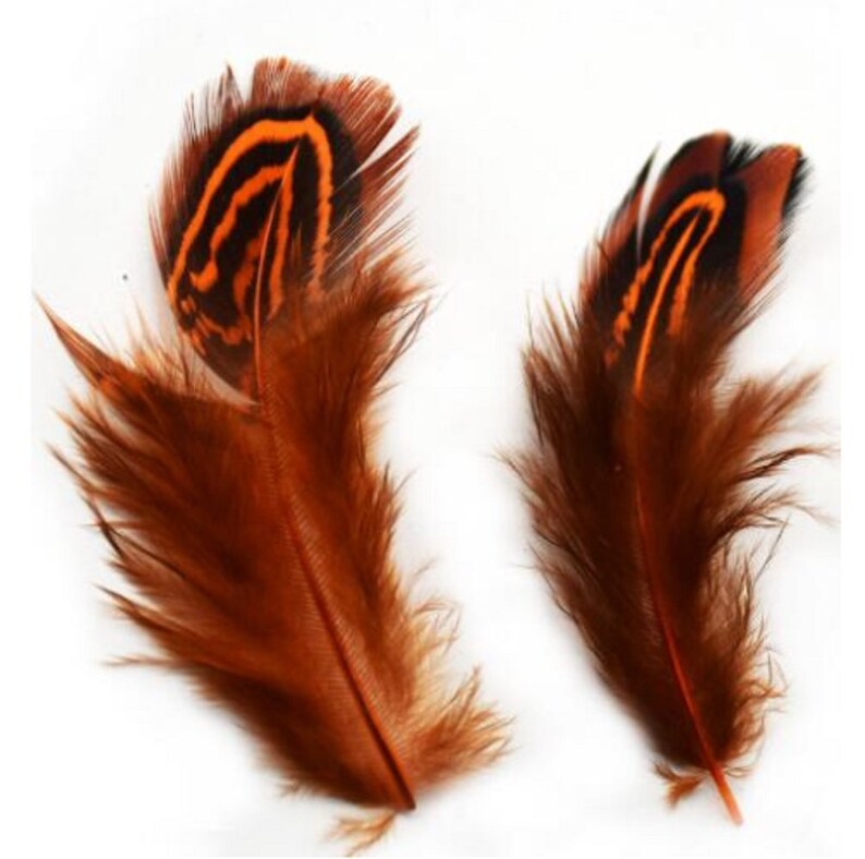 Colourful Guinea Fowl Wing Feathers 4cm 8cm Chicken Fly - Etsy