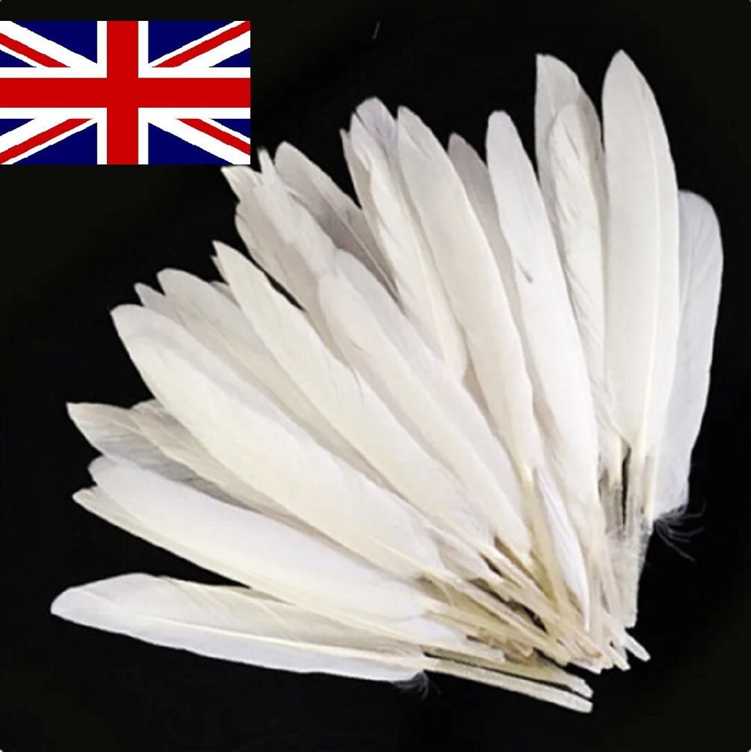 White Goose Feathers Arts Crafts Hat Costume Wedding Colour 4''-8'' UK ...