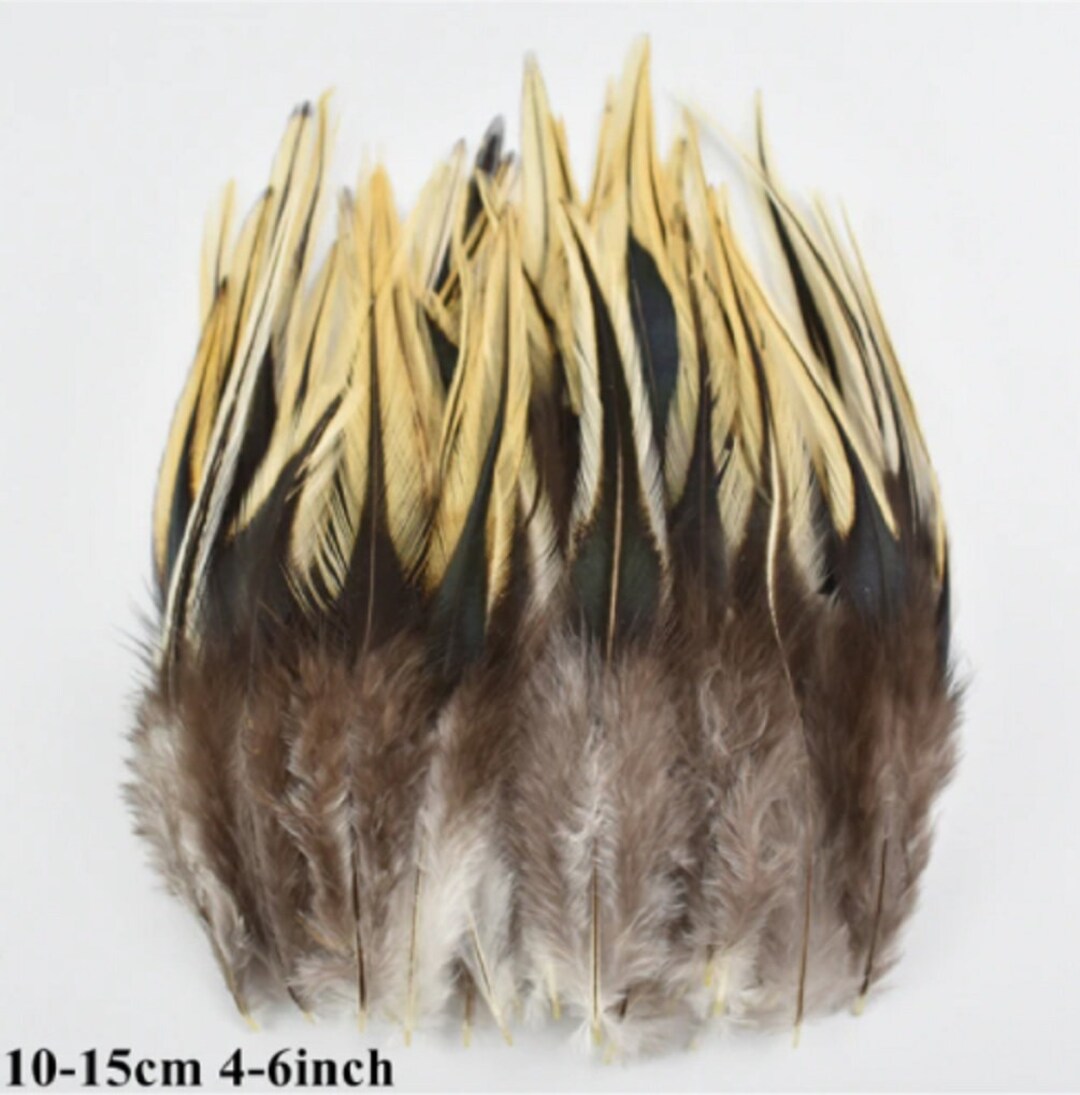 Golden Natural Rooster Wing Feathers 12cm - 16cm Chicken Fly Craft Hat ...