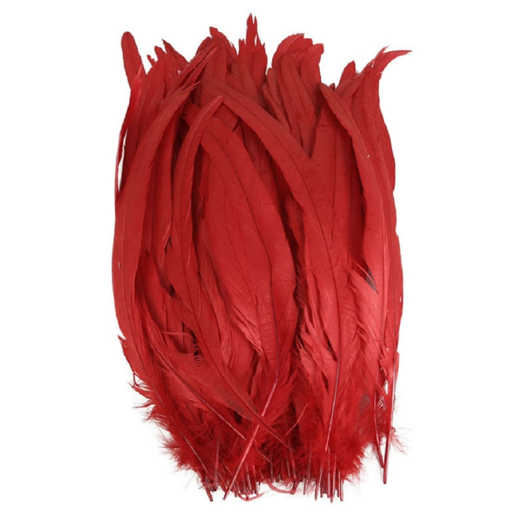 Long Rooster Tail Feathers Many Colour Fly Craft Hat Arts Decorations ...