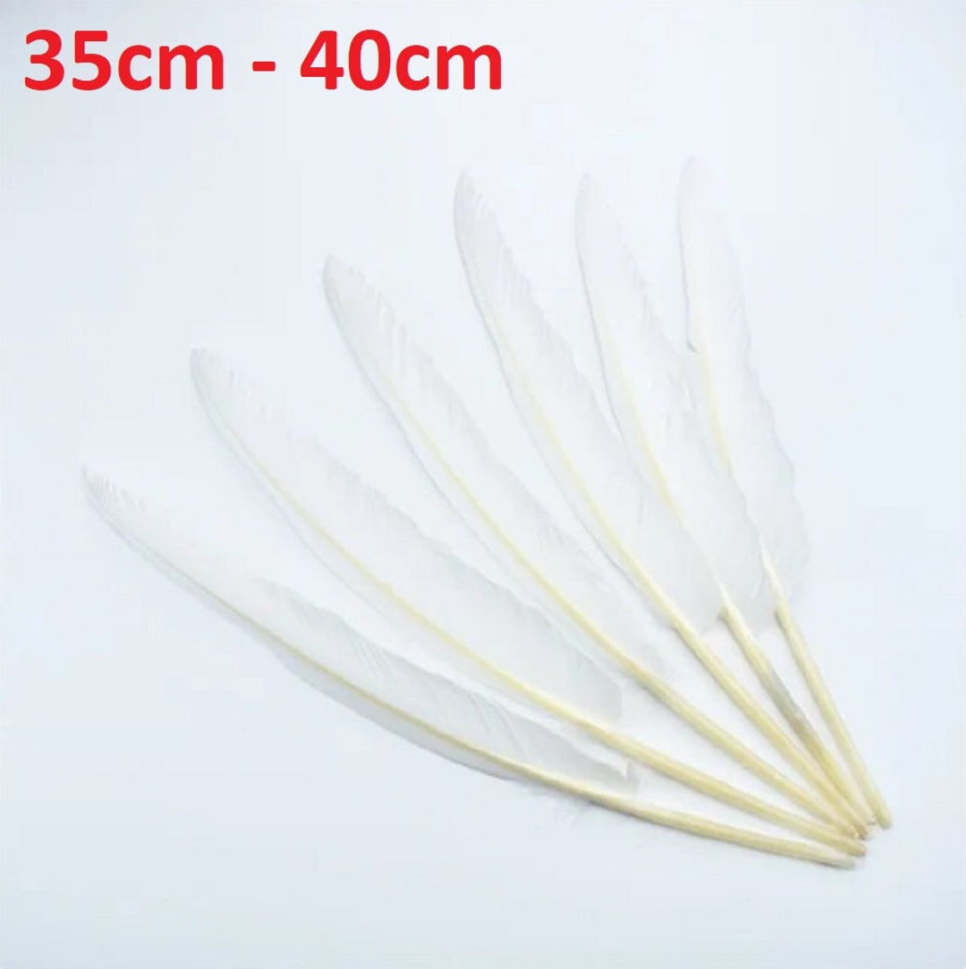 Extra Large White Goose Feathers Arts Crafts Hat Costume Wedding 35cm ...