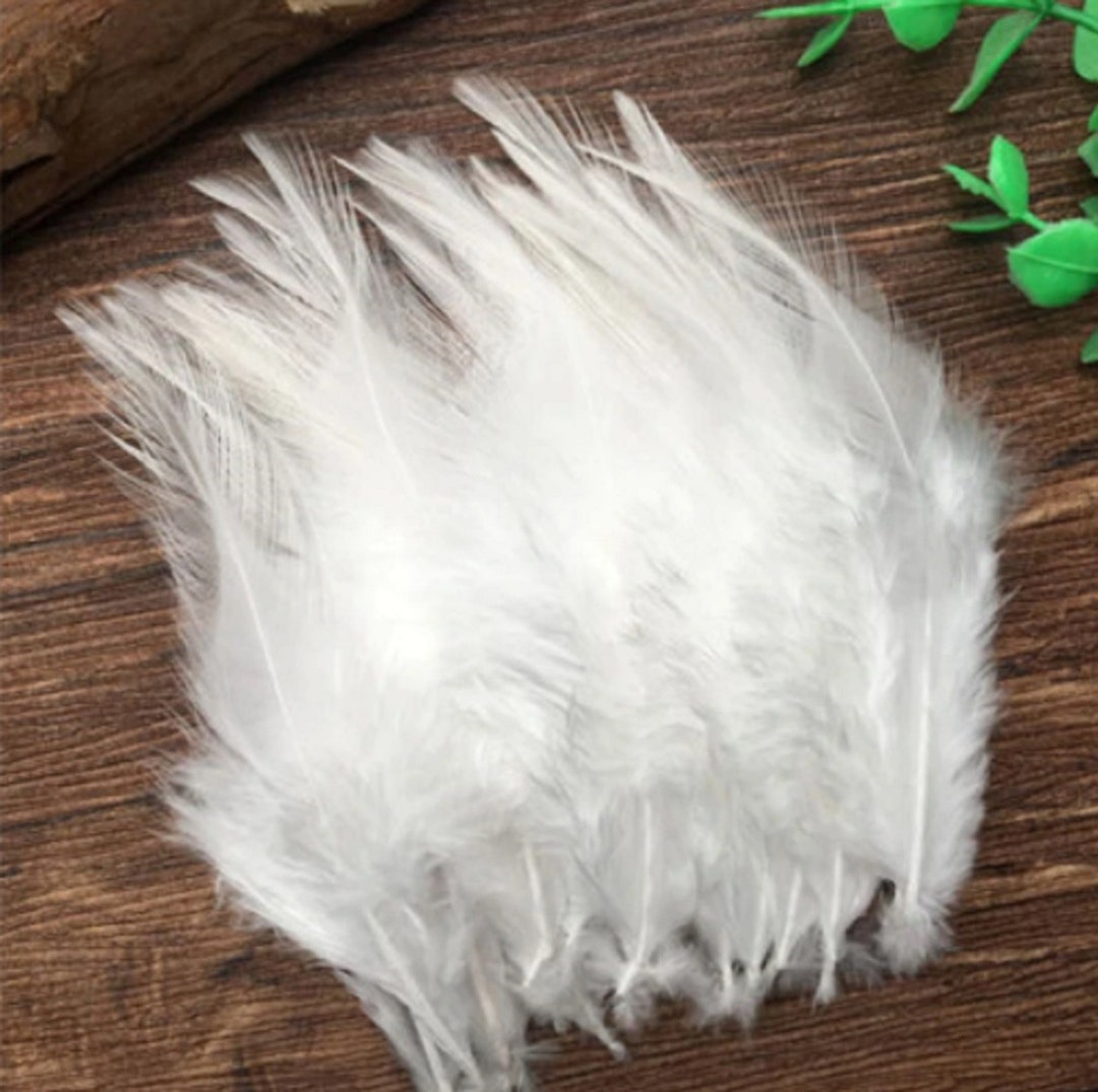 White Rooster Wing Feathers 8cm - 15cm Chicken Fly Craft Hat Arts ...