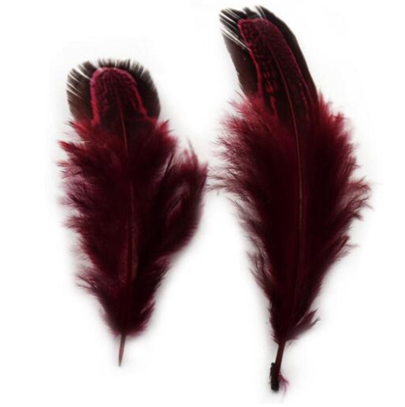 Colourful Guinea Fowl Wing Feathers 4cm - 8cm Chicken Fly Craft Hat ...