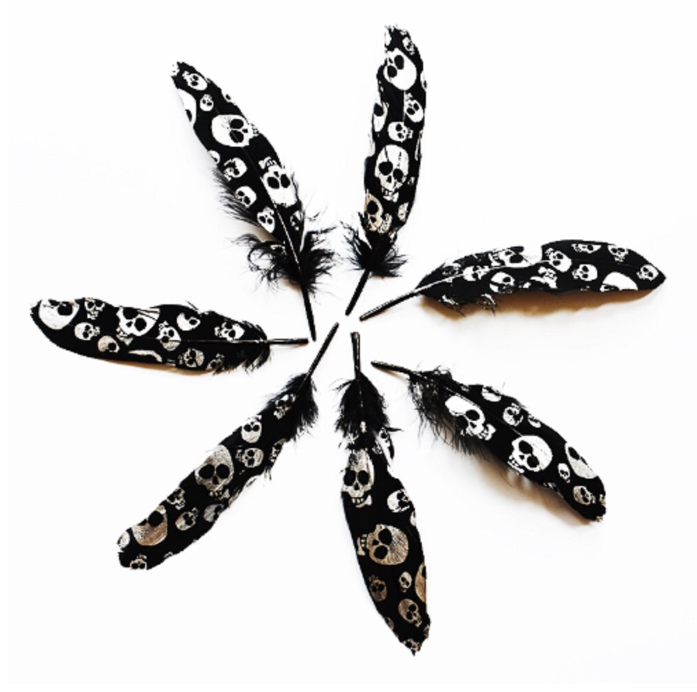 Black Skull Goose Feathers 12cm - 20cm Arts Crafts Hat Costume Silver ...