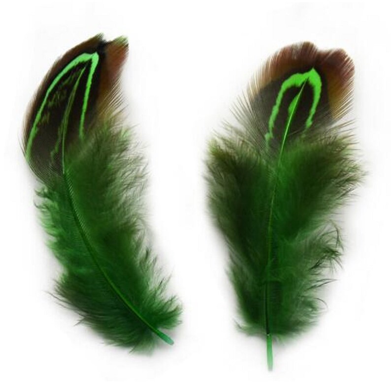 Colourful Guinea Fowl Wing Feathers 4cm 8cm Chicken Fly - Etsy