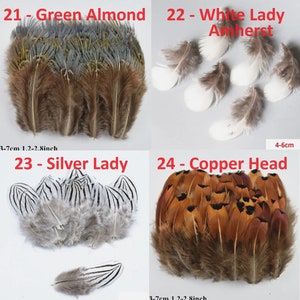 62 Style of Natural Real Feathers Pheasant Chicken Rooster Trimmings ...