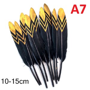 Black & Gold Goose Real Feathers Patterns Arts Craft Hats Costume Dream ...