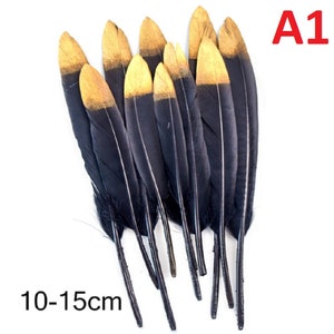 Black & Gold Goose Real Feathers Patterns Arts Craft Hats Costume Dream ...