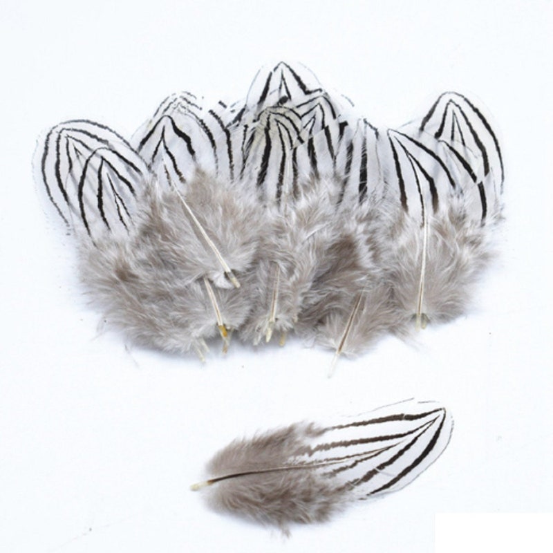 Zebra Feathers - Etsy