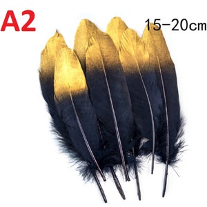 Black & Gold Goose Real Feathers Patterns Arts Craft Hats Costume Dream ...
