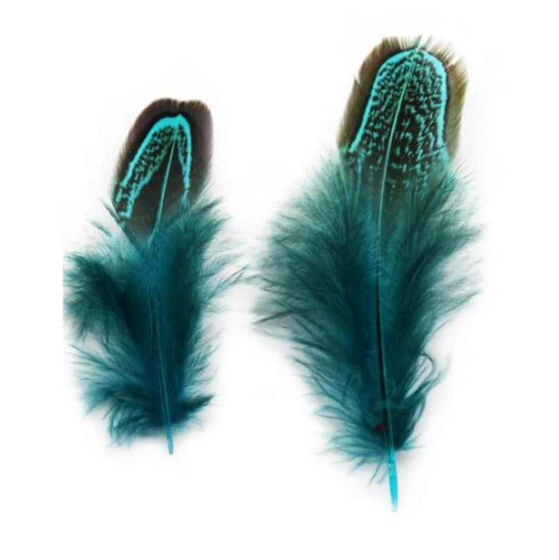 Colourful Guinea Fowl Wing Feathers 4cm 8cm Chicken Fly - Etsy