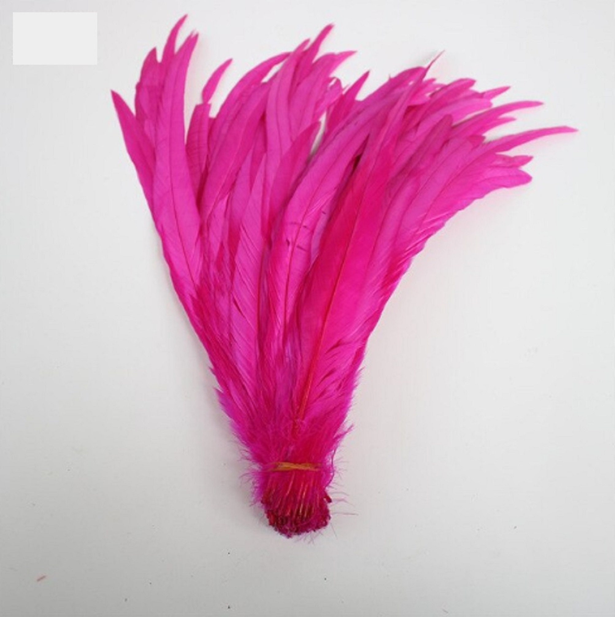 Long Rooster Tail Feathers Many Colour Fly Craft Hat Arts | Etsy