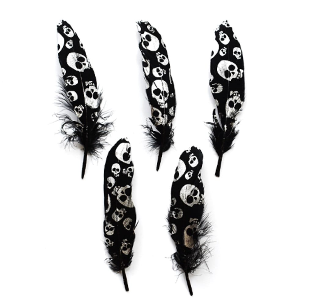 Black Skull Goose Feathers 12cm - 20cm Arts Crafts Hat Costume Silver ...