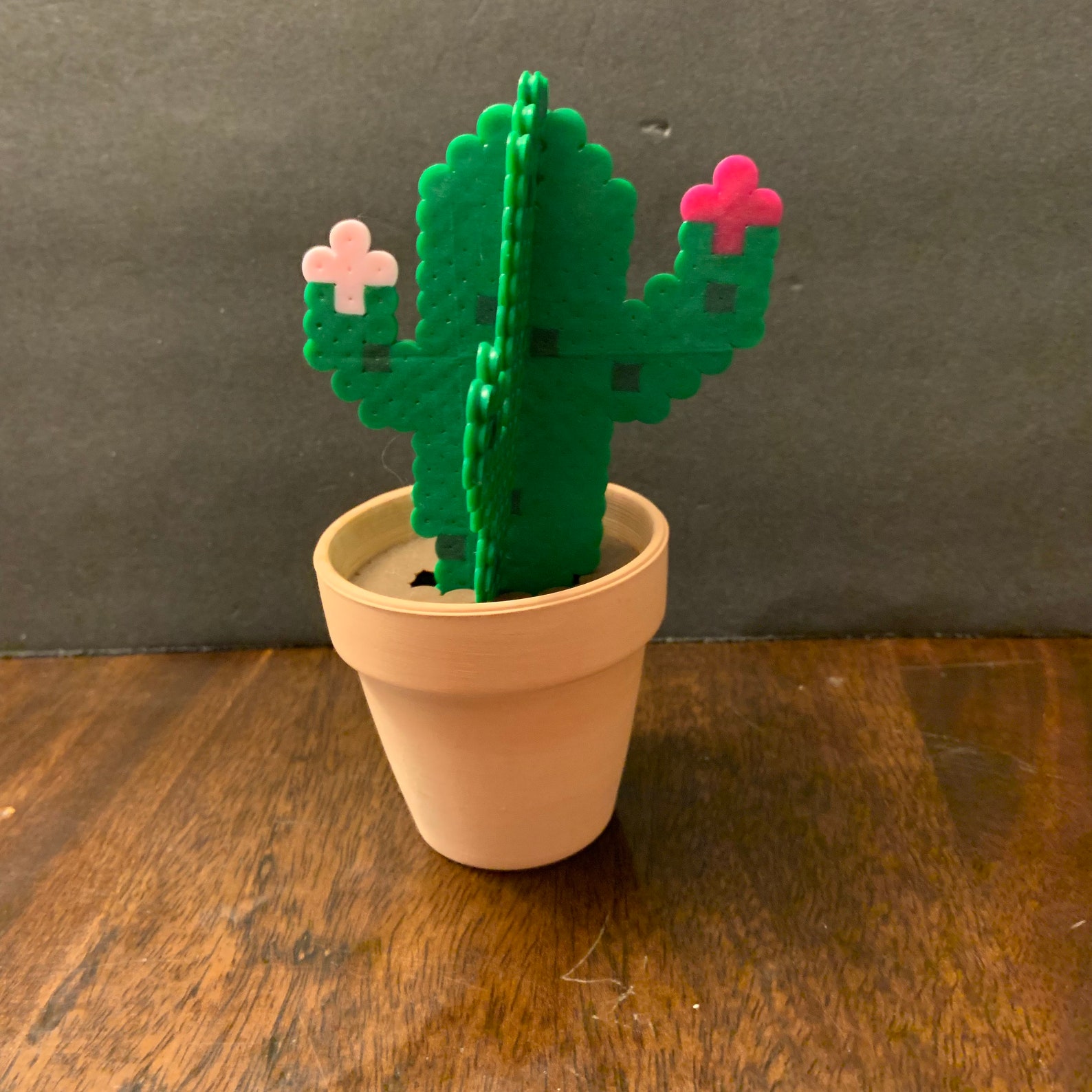 Perler Bead 3D Cactus in Pot - Etsy