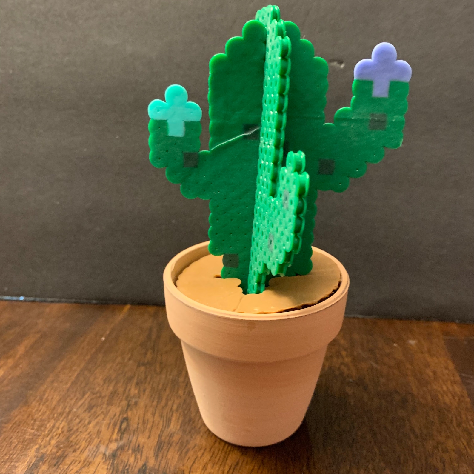 Perler Bead 3D Cactus in Pot - Etsy
