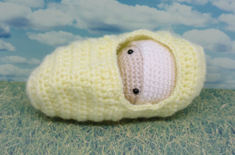 Fly Life Cycle Set - Etsy