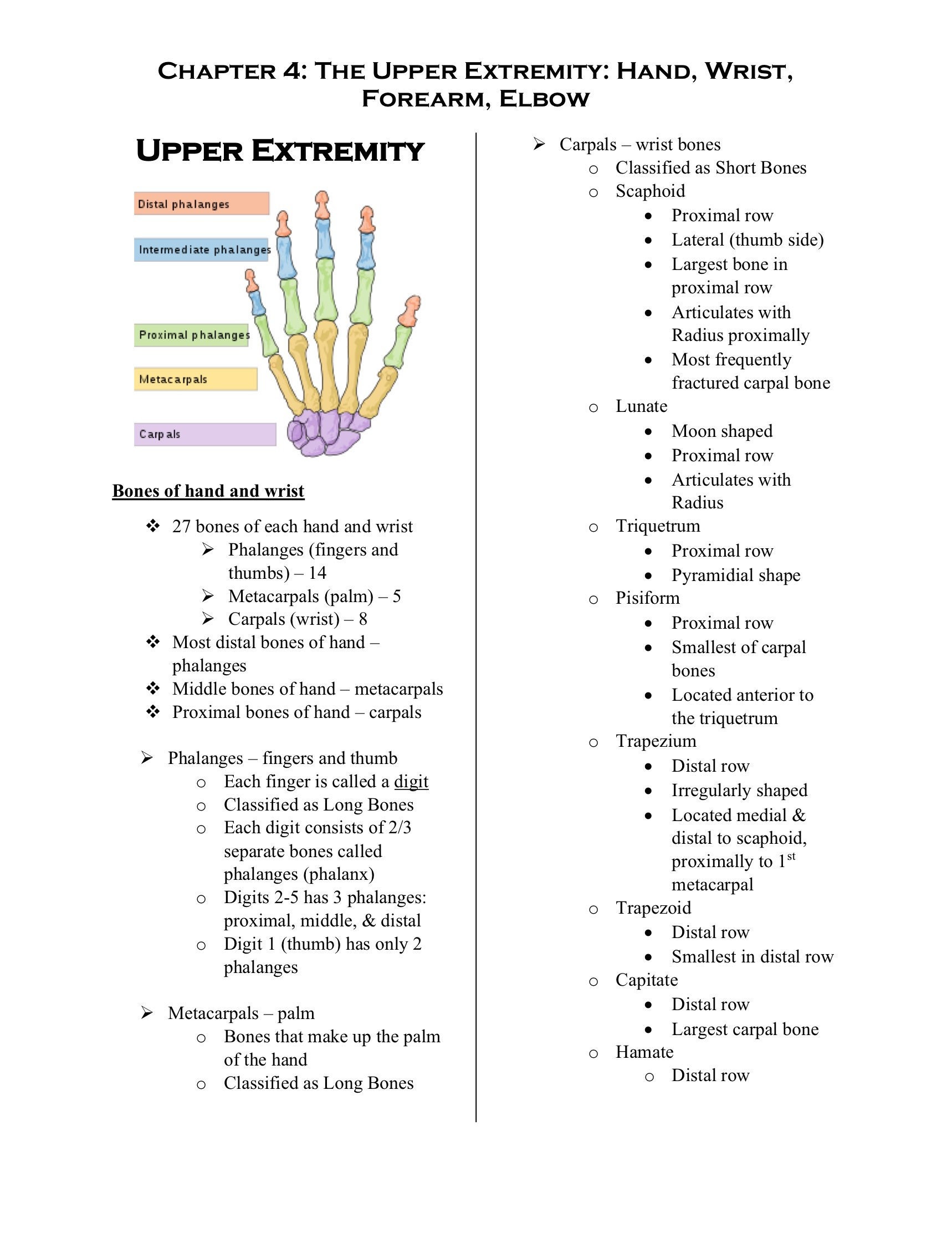 Radiology Notes - UPPER EXTREMITY & SHOULDER - Etsy