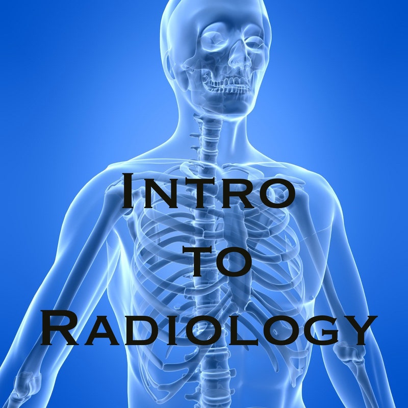 Radiology Games - Etsy