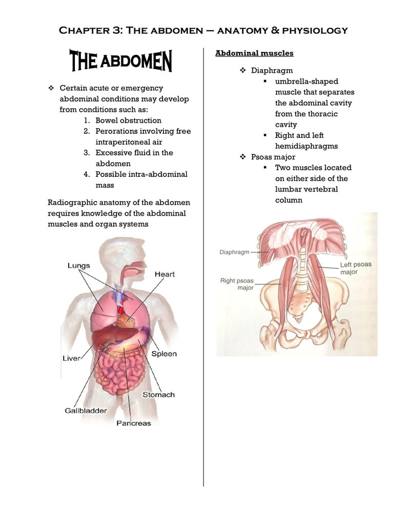 Radiology Notes - ABDOMEN - Etsy