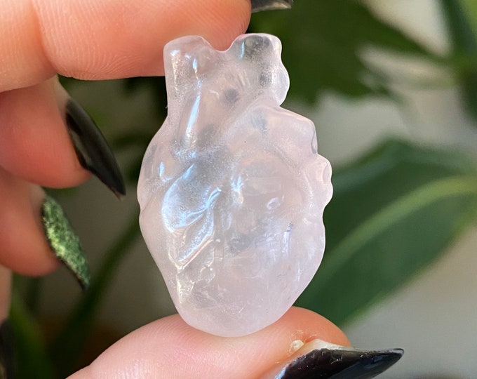 Rose Quartz Anatomical Heart Crystal Mini Natural Rose - Etsy