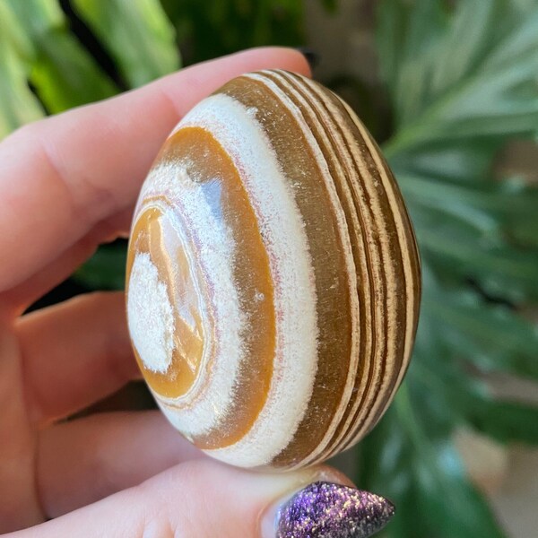 Brown Aragonite - Etsy