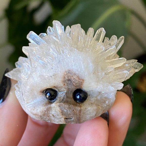 Hedgehog Rock - Etsy