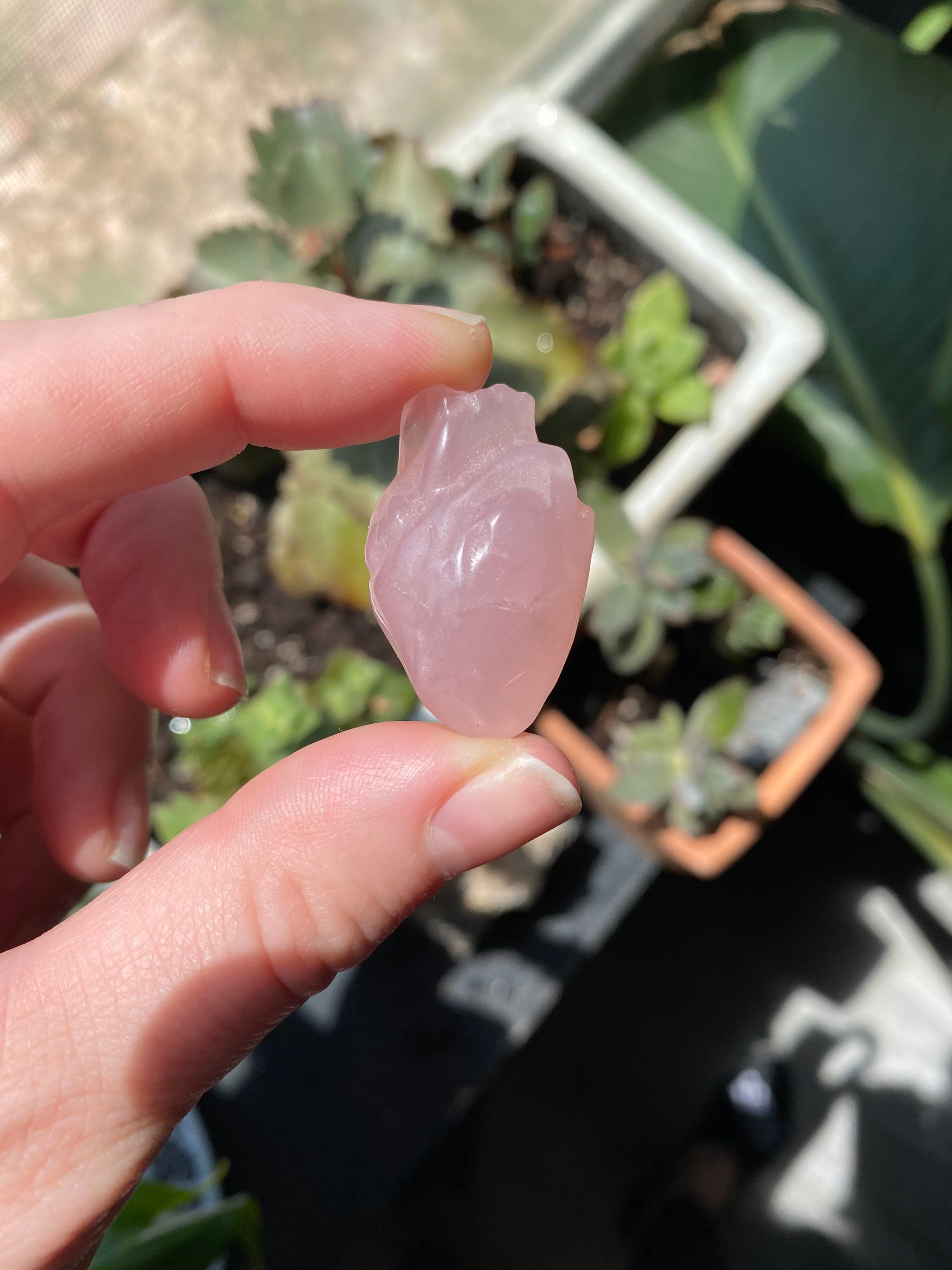 Rose Quartz Anatomical Heart Crystal Mini Natural Rose - Etsy