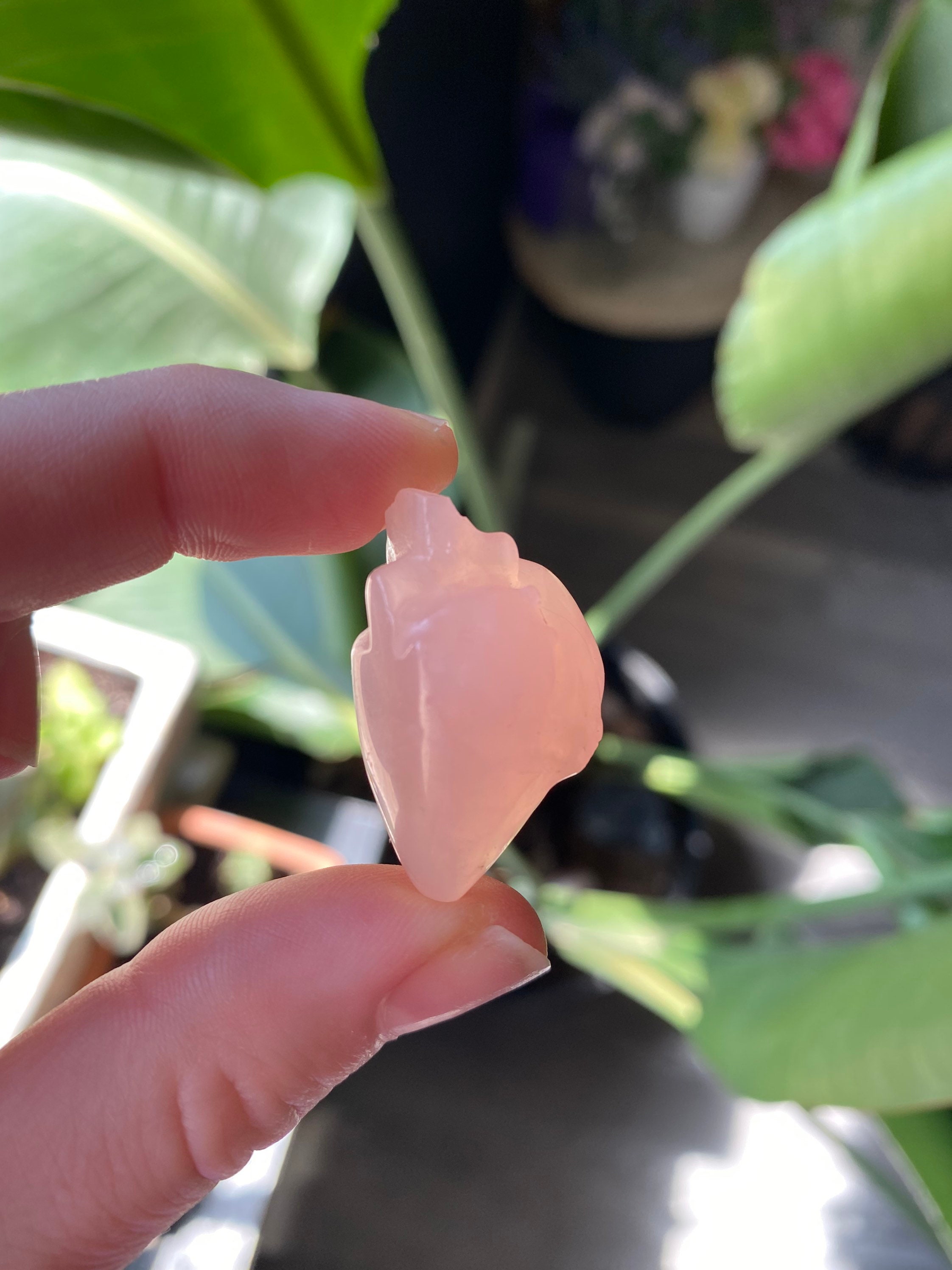 Rose Quartz Anatomical Heart Crystal Mini Natural Rose - Etsy